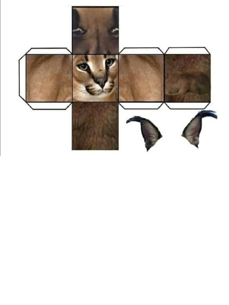 Doc2 Flopa Salvaje Cubo Insano B) | PDF