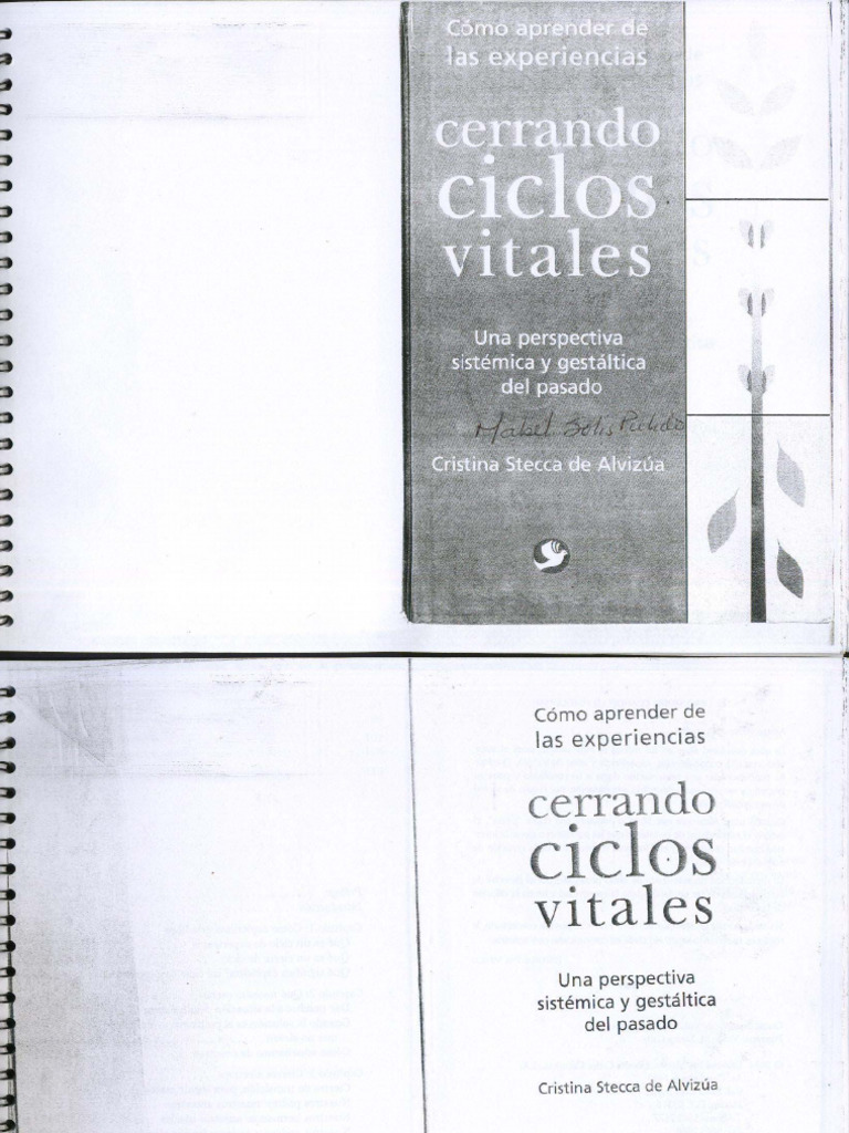Cerrando Ciclos Vitales Cristina Stecca | PDF