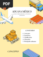 Tipos de Aduanas en México | PDF | aduana | México