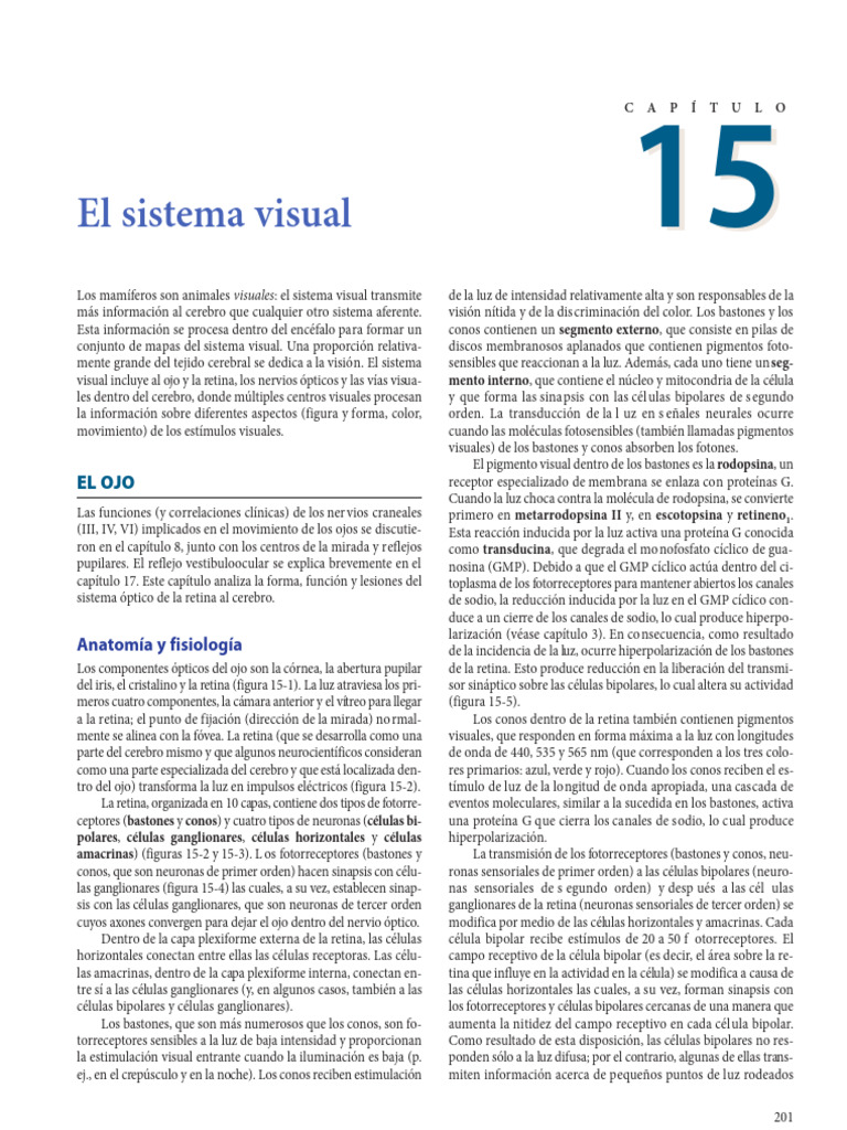 04 - Capítulo 15. Sistema Visual. Waxman, S. | PDF | Percepción visual | Ojo humano