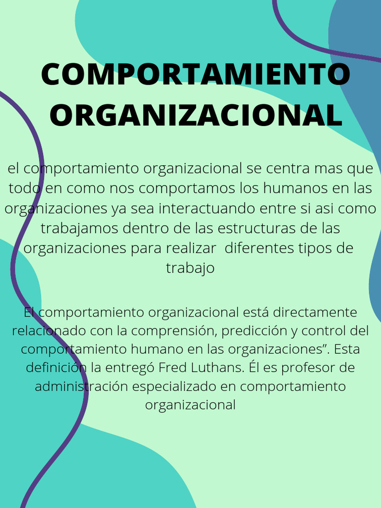 Comportamiento Organizacional | PDF