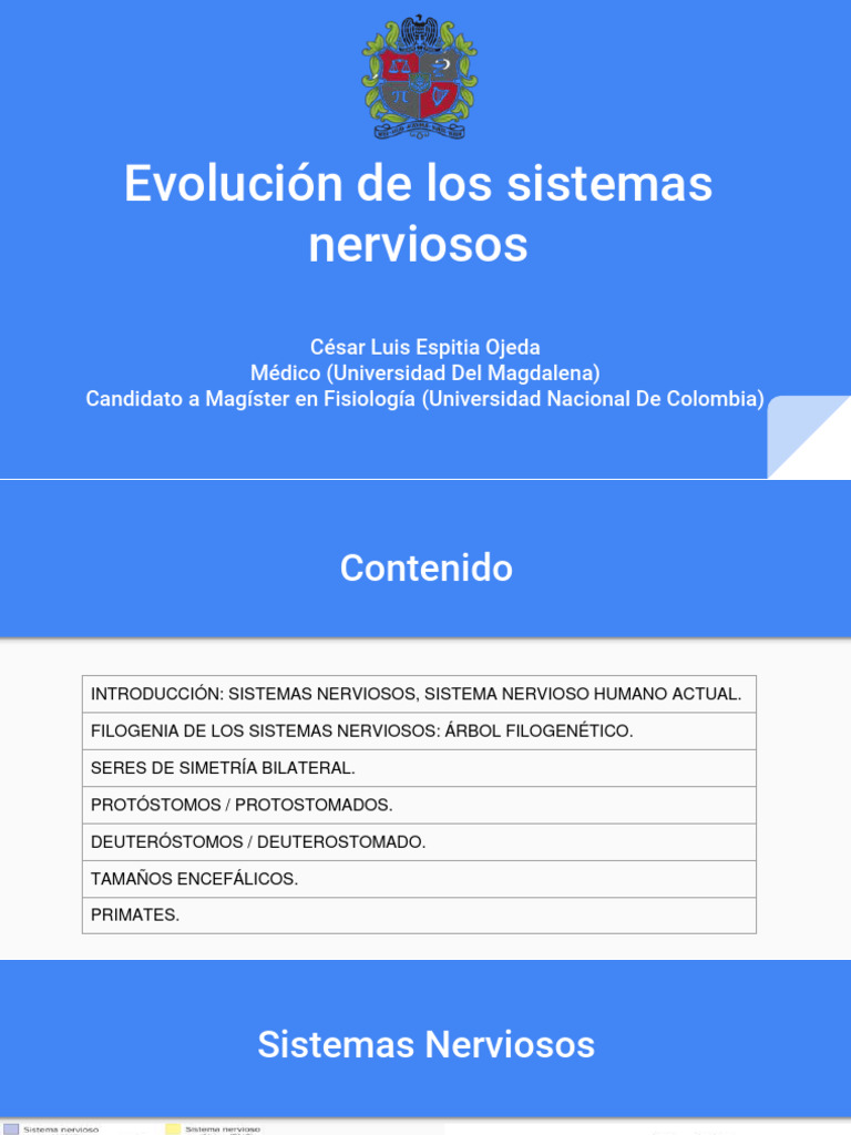 Evolución de Los Sistemas Nerviosos | PDF | Sistema nervioso | Cerebelo