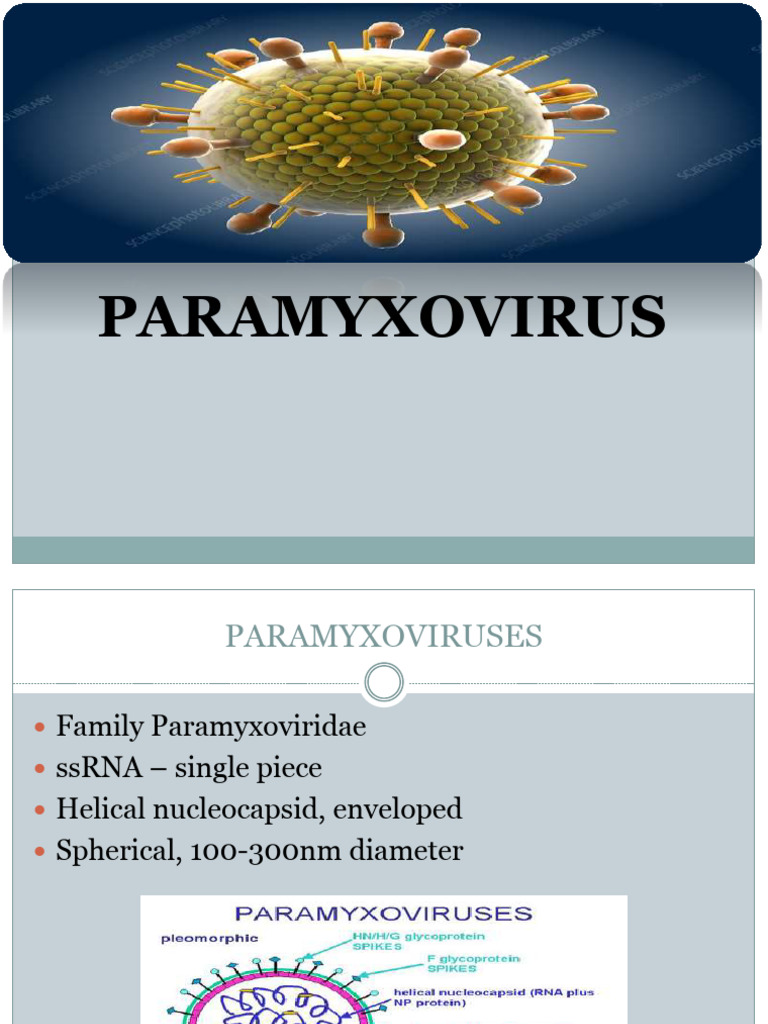 Paramyxo 220912010312 4e99810a | PDF