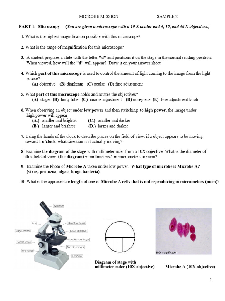 18 Microbe Sample | PDF | Microscope | Microorganism