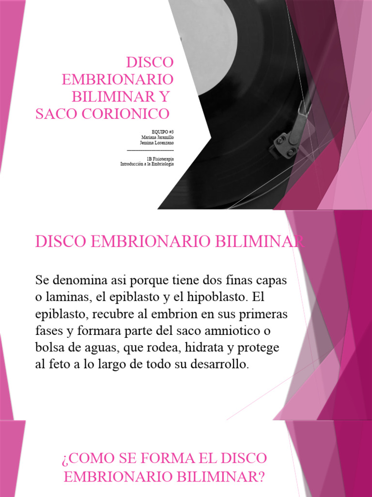 Disco Embrionario y Saco Coriónico | PDF | Embrión | Placenta