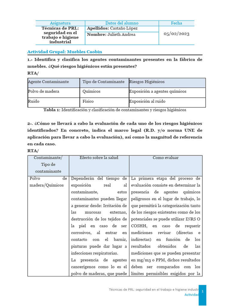 Evaluación de Riesgos en Muebles Caobin | PDF | ruido | Contaminación