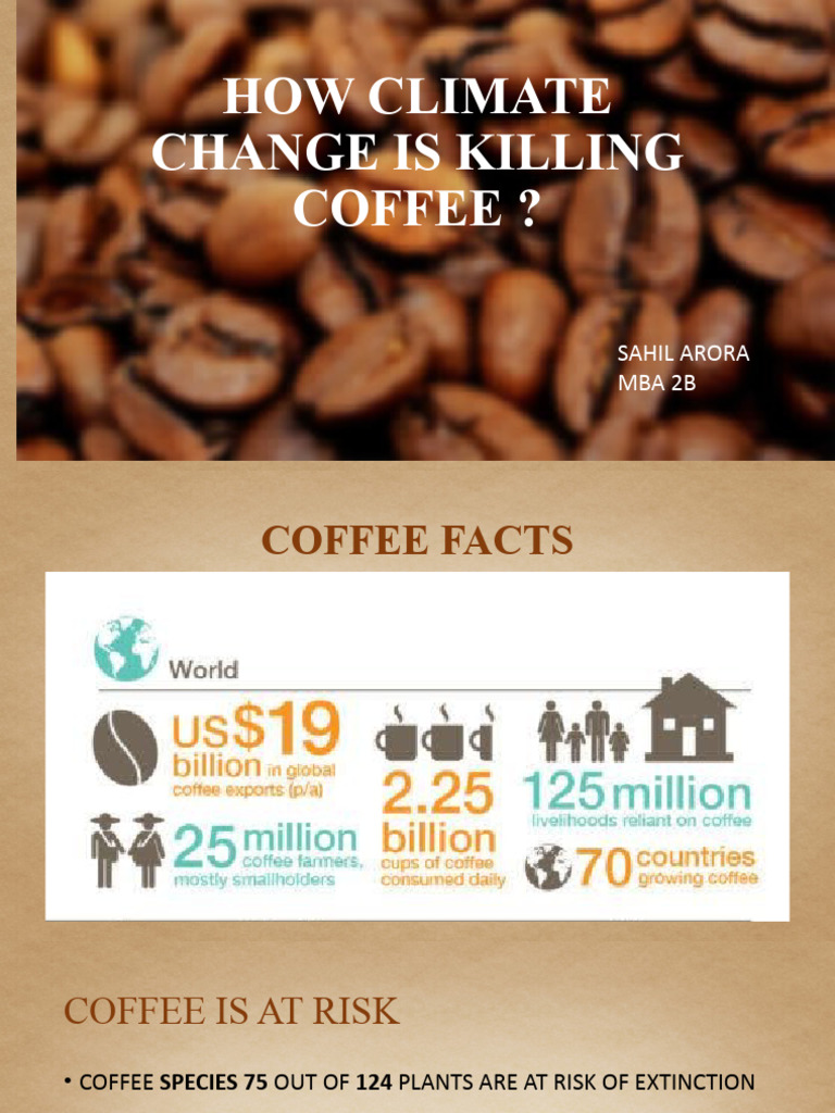 How Climate Change Is Killing Coffee | PDF