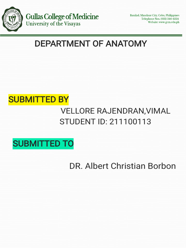 Anatomy Assignment 20 Part 2 Muscles of The Gluteal Region Laboratory Exercise PDF | PDF | Human ...