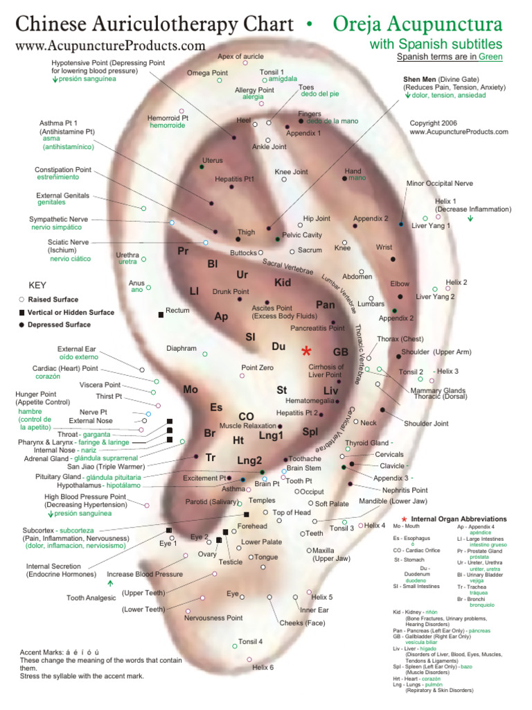 Chinese Ear Points Chart | PDF | Gastrointestinal Tract | Stomach