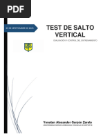 Test de Sargent o Salto Vertical | PDF