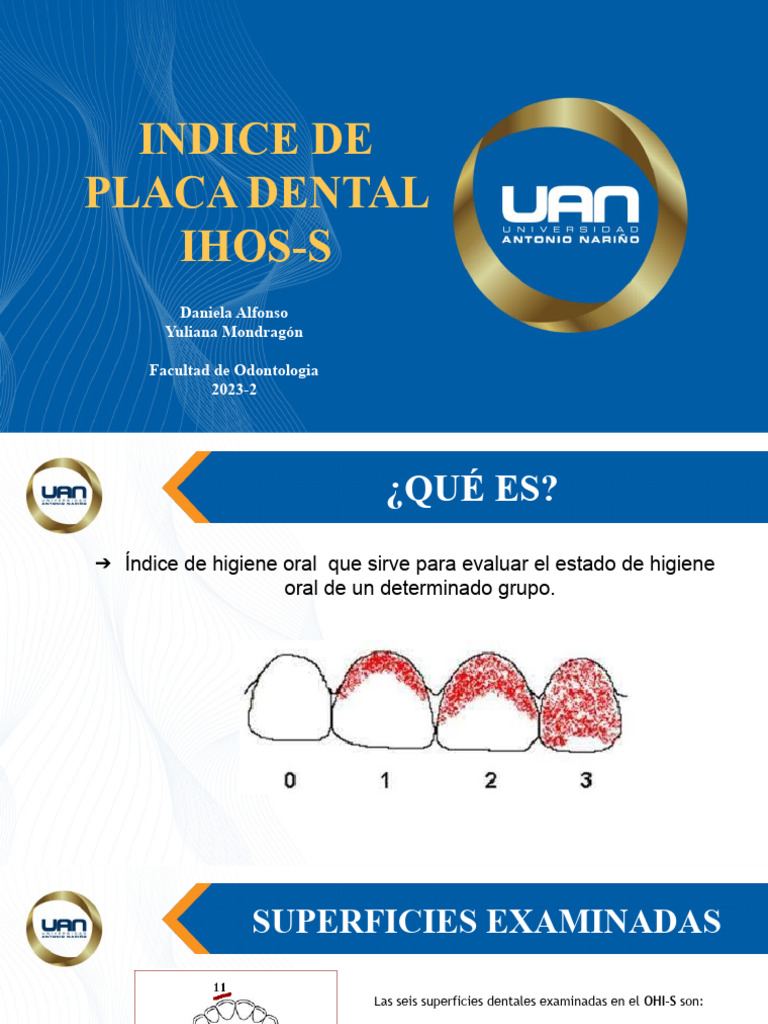 INDICE IHOS | PDF