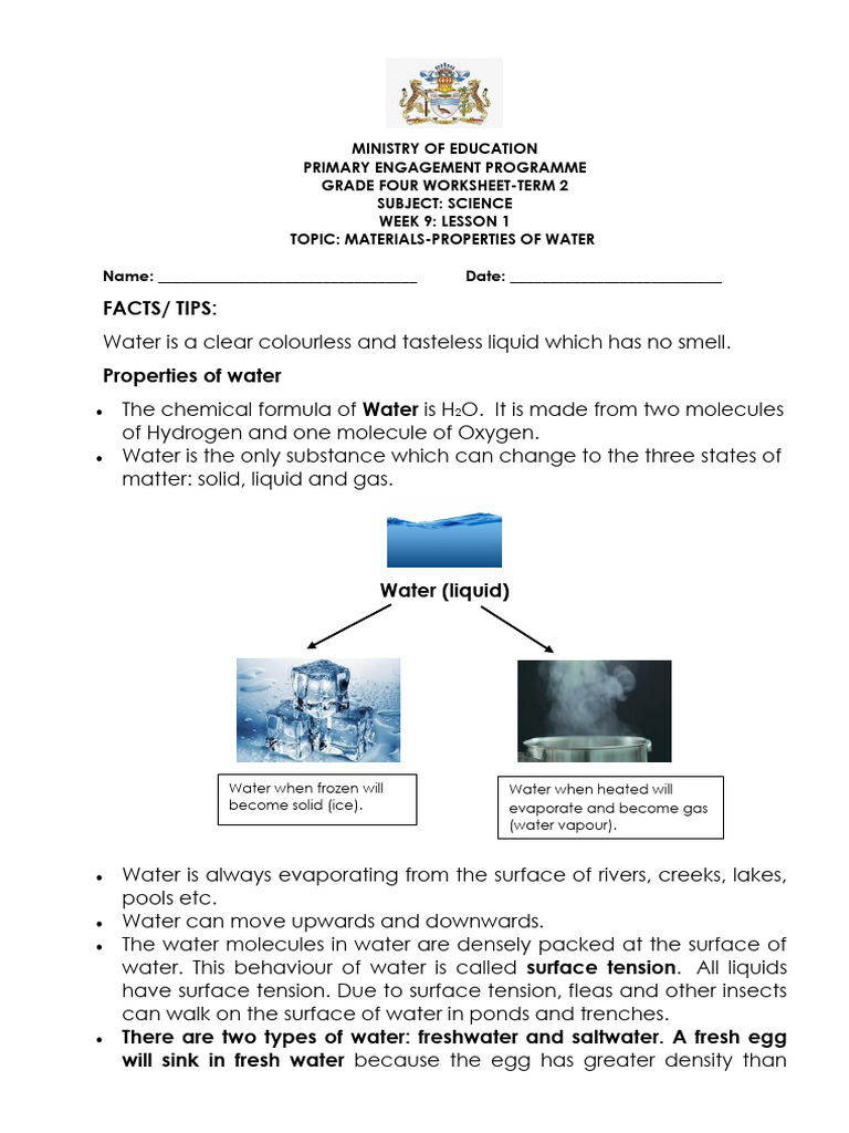 Grade 4 Science Weeks 9-12 Worksheets - Term 2 | PDF