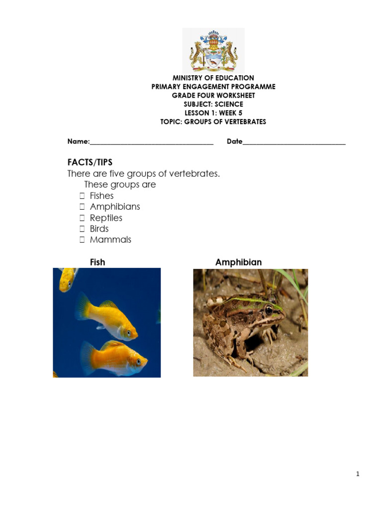 Grade 4 Science Weeks 5-8 Worksheets - Term 1 | PDF