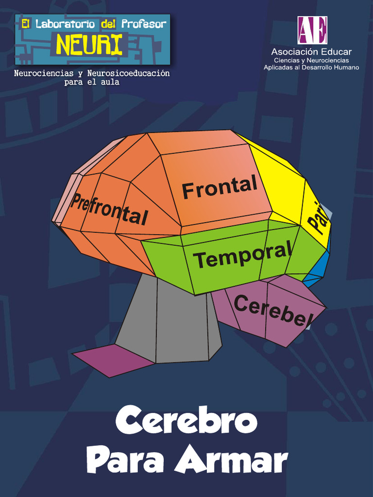 Cerebro Pdf