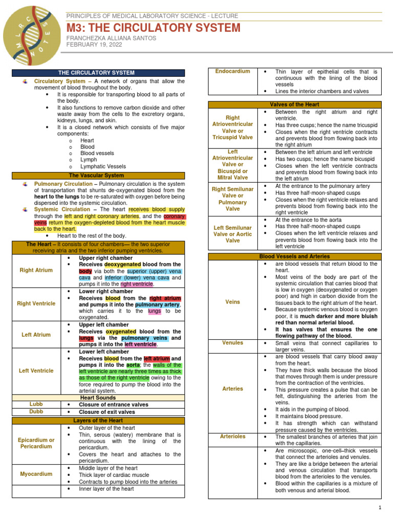 M3 MLSP 2 Lecture | PDF
