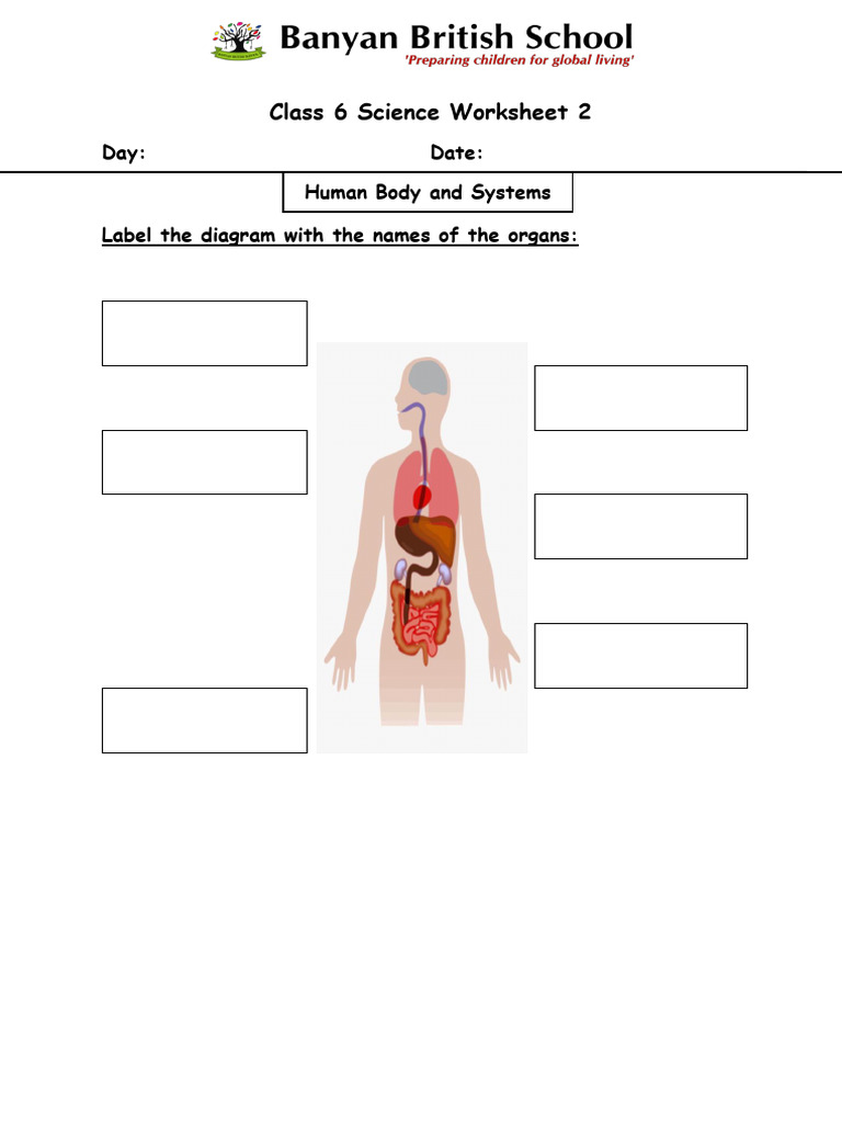 Class 6 Science Worksheet 2 | PDF