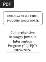 Final Plan Cbjip 2025-2029 | PDF | Juvenile Delinquency | Child Protection
