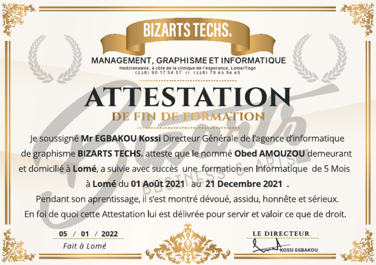 Attestation de formation en informatique | PDF