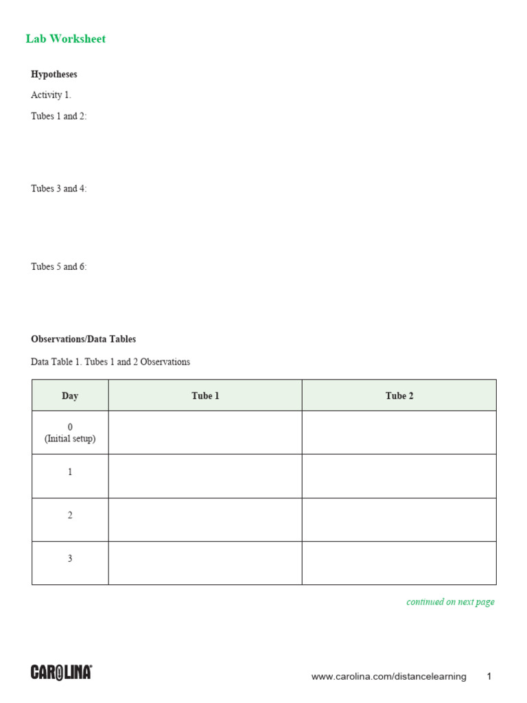 Week Five Lab Worksheet Oil Bioremediation | PDF | Science & Mathematics