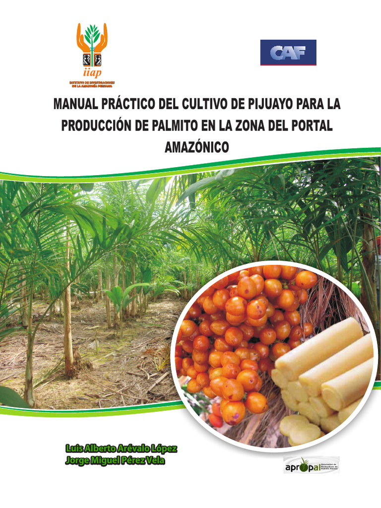 Germinación Del Pijuayo | PDF
