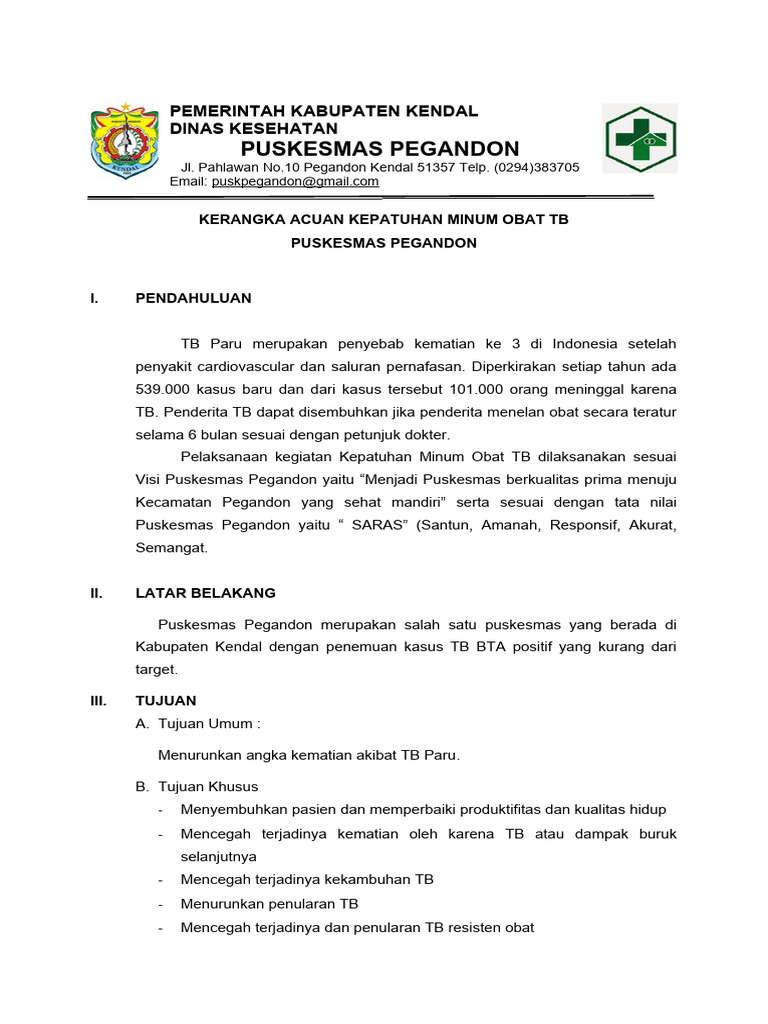 Kerangka Acuan Kepatuhan Minum Obat TB 2022 | PDF