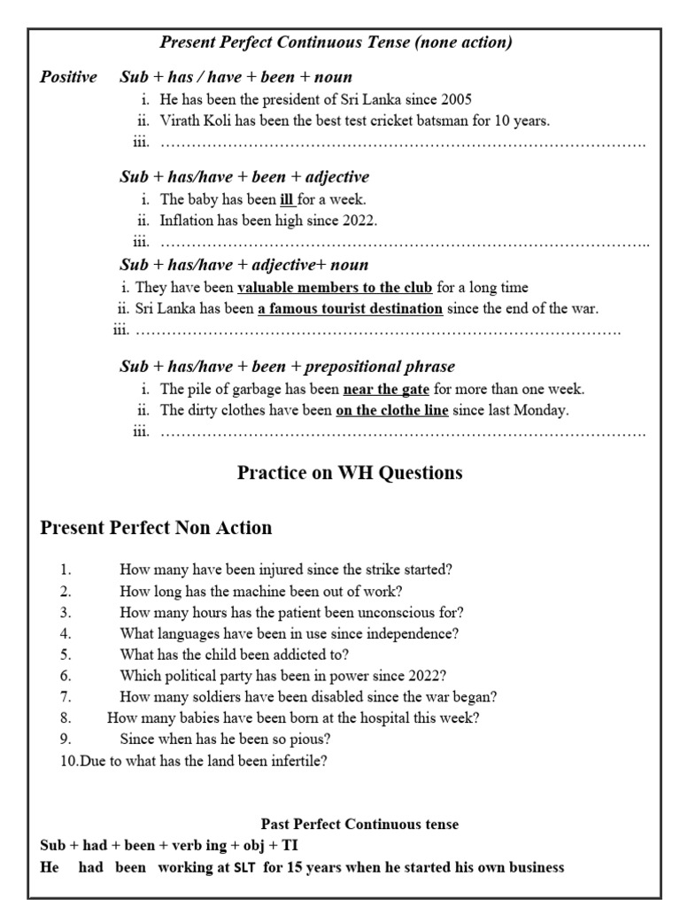 Present Perfect Continuous & Verb Structures | PDF