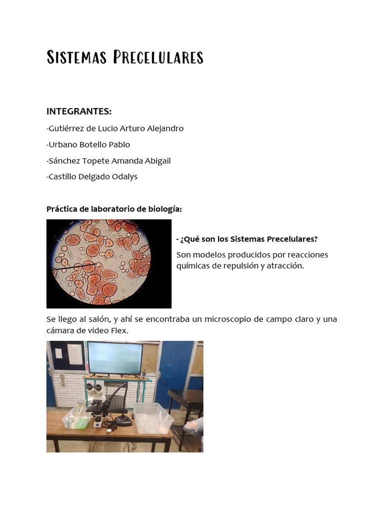 Sistemas Precelulares | PDF | Abiogénesis | Ciencias fisicas