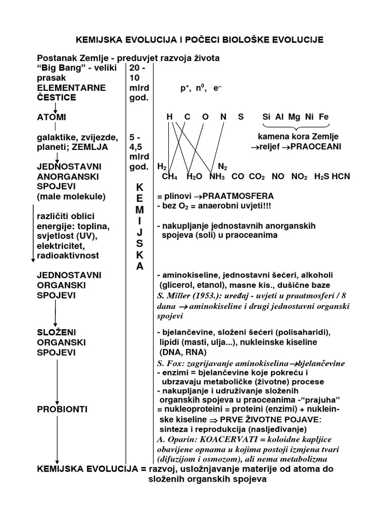 2.0 Kem+biokem Evolucija | PDF