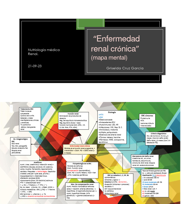 Mapa Mental ERC | PDF