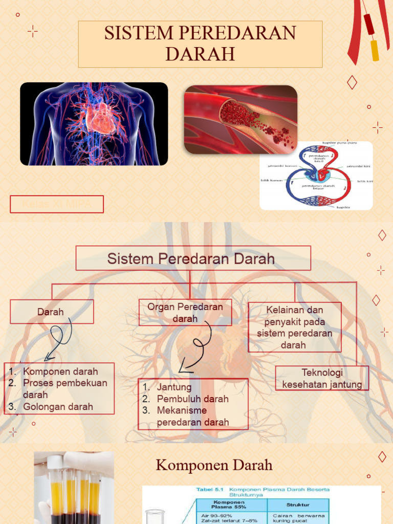 Komponen Darah | PDF