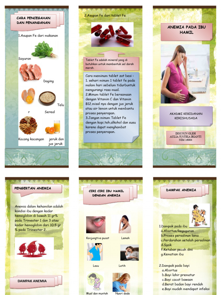 Leafleat Anemia Dalam Kehamilan | PDF