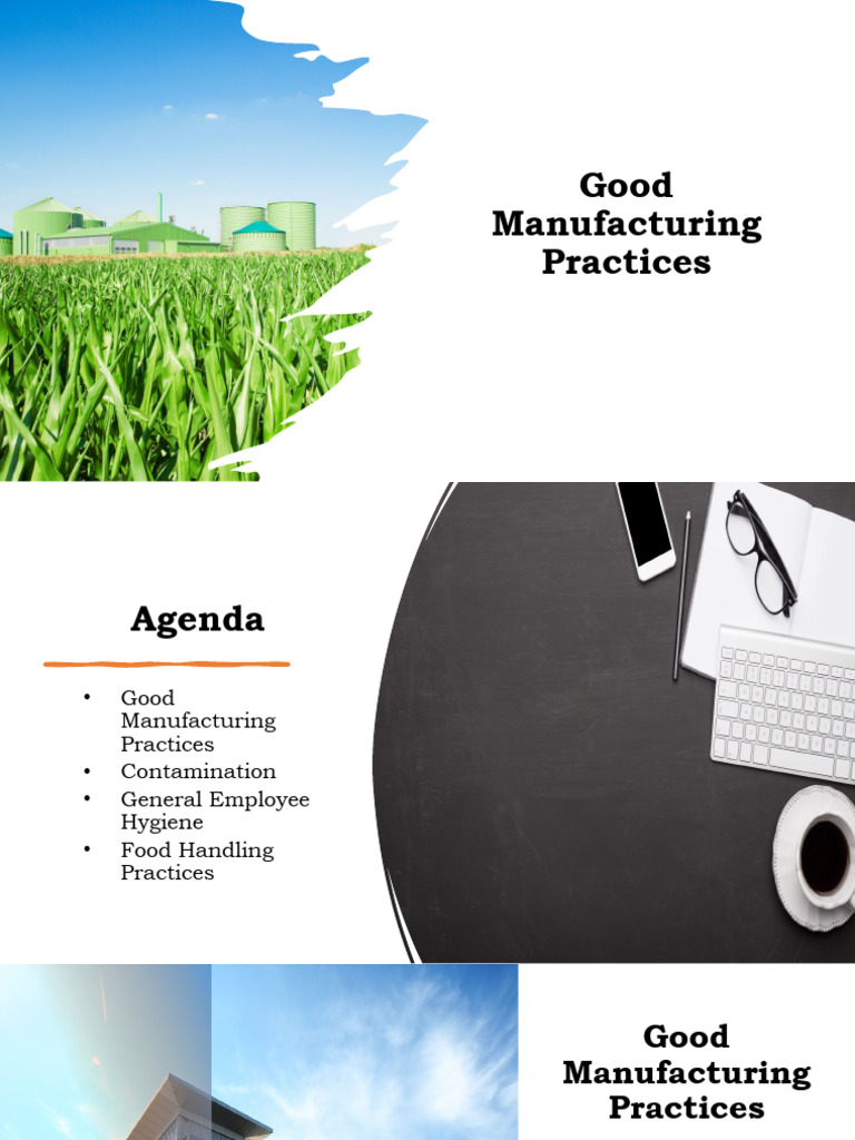 Gmp Training Pdf Hygiene