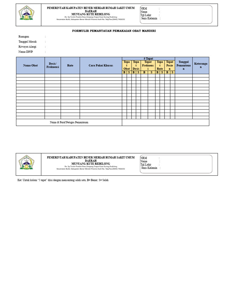 Formulir Pemantauan Terapi Obat | PDF