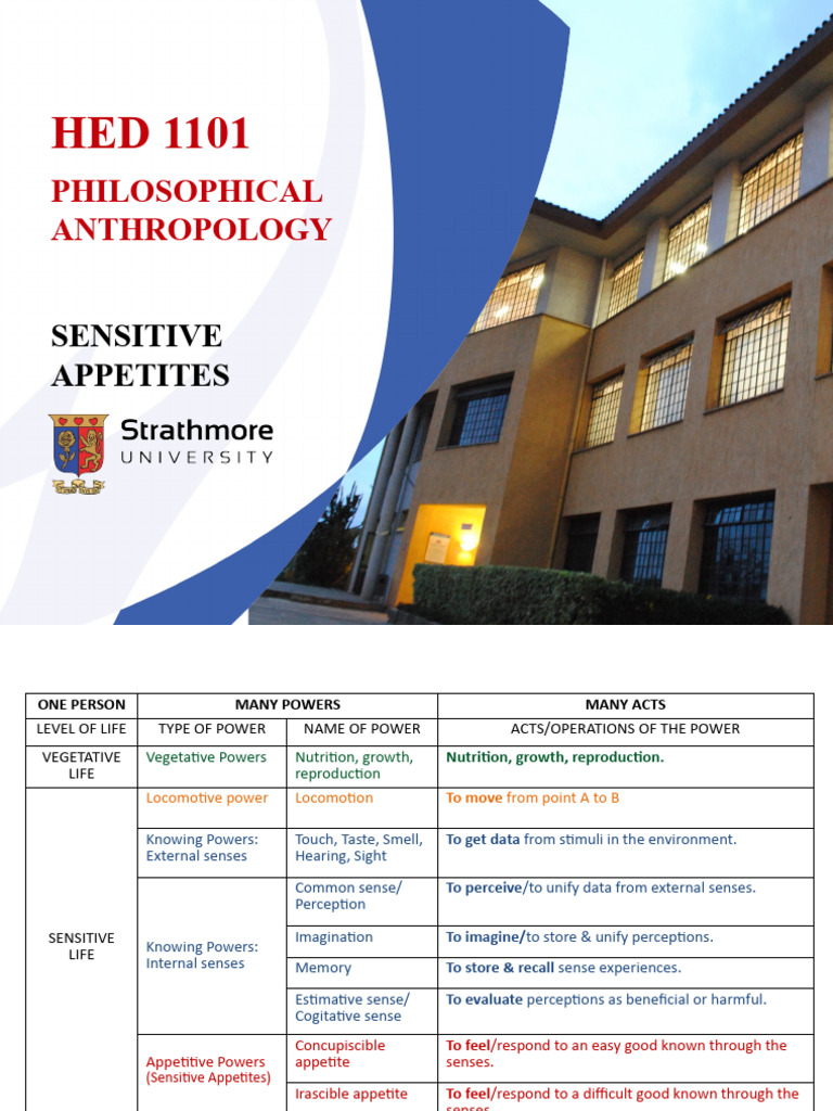 PA - Topic 5a - Sensitive Appetites - 18-08-23 | PDF | Emotions | Senses