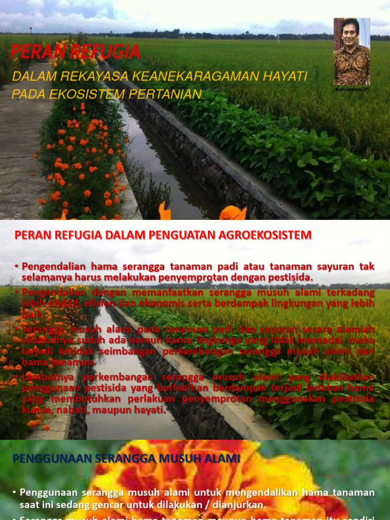 Peran Tanaman Refugia dalam Pertanian | PDF | Teknologi & Rekayasa