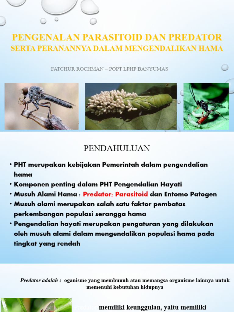 Predator Dan Parasitoid | PDF