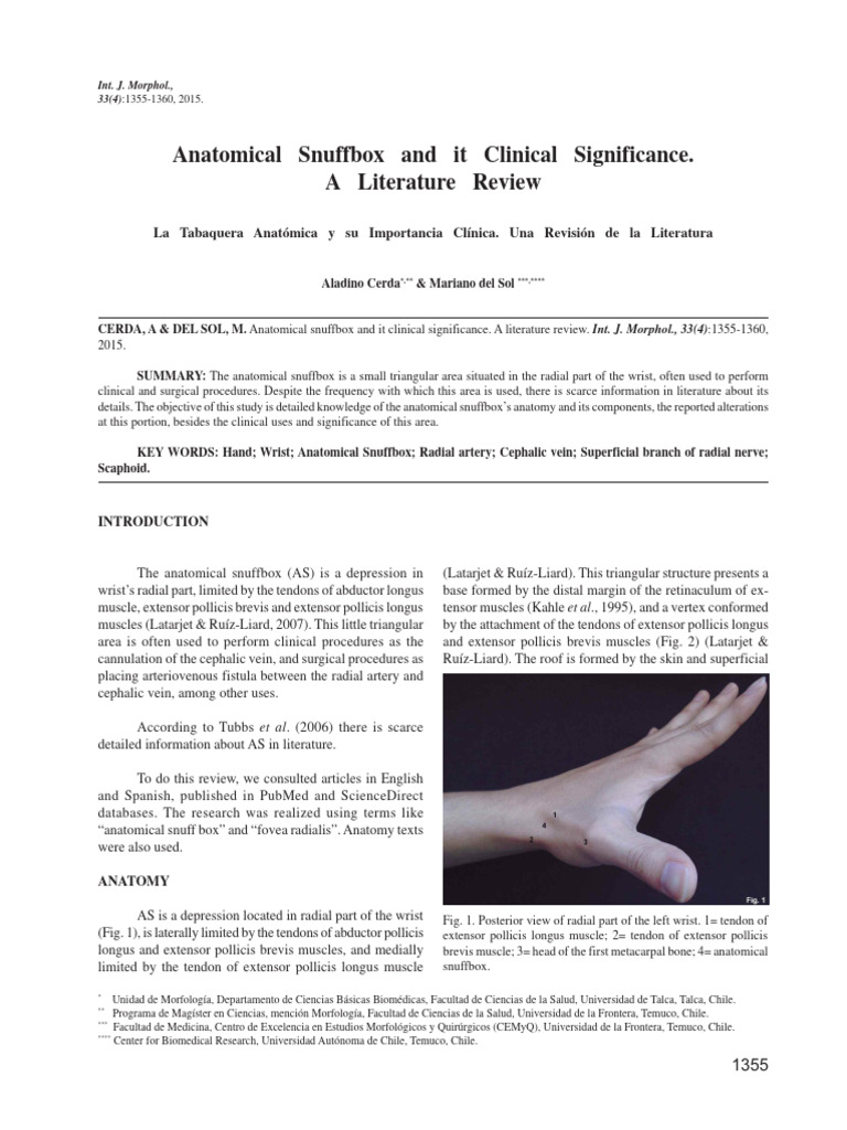Anatomical Snuffbox | PDF