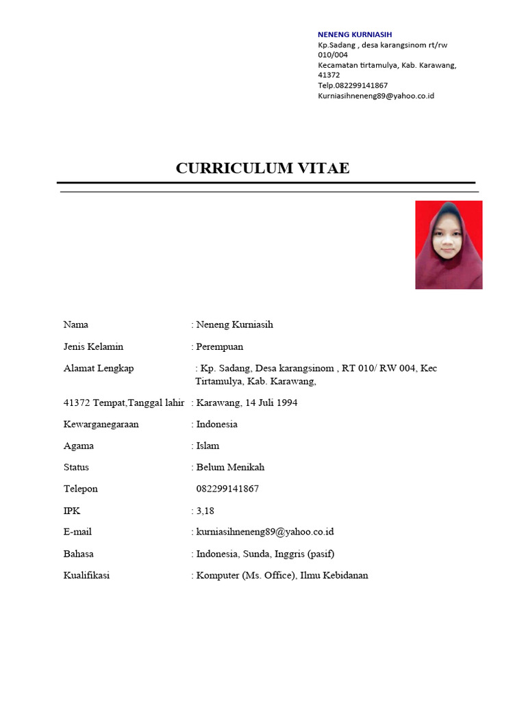 Curriculum Vitae 1 | PDF