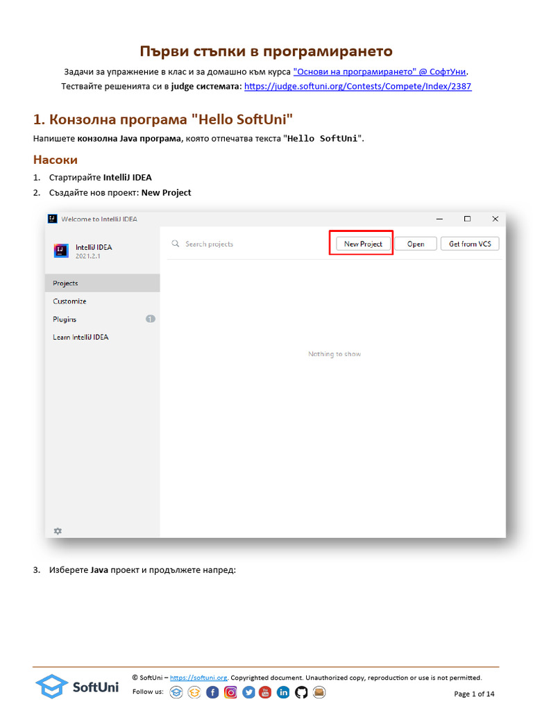 01.2 PB-Java-First-Steps-in-Coding-Lab | PDF
