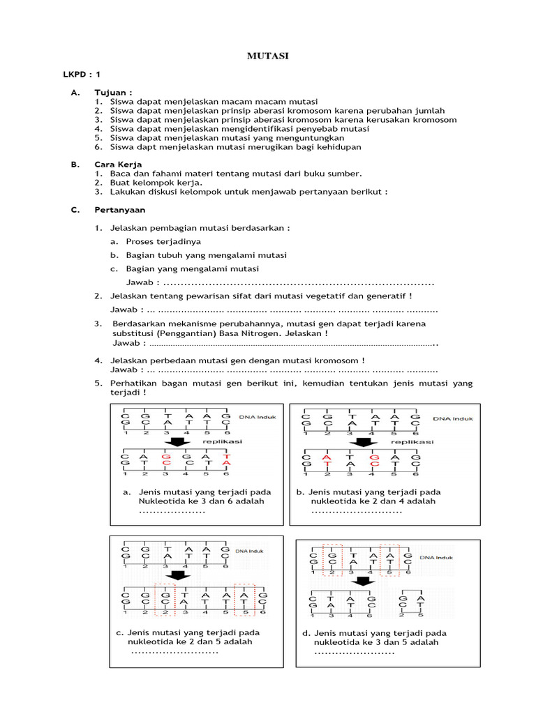 LKPD 1. Mutasi | PDF
