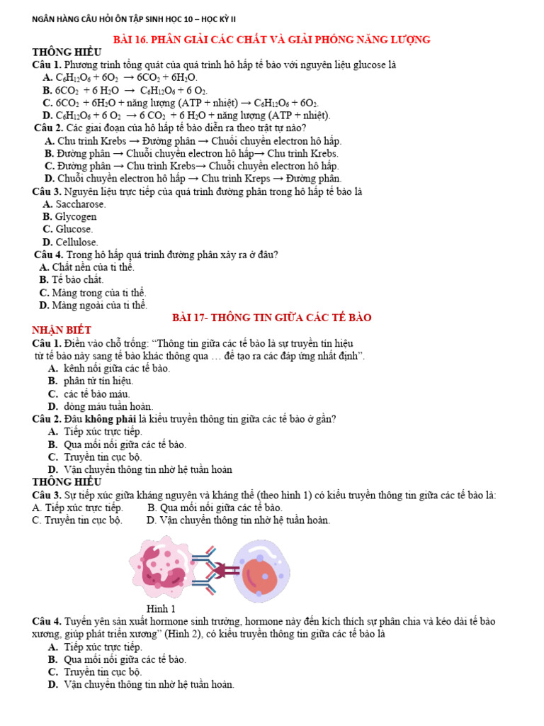 NHCH - Sinh 10 - Hkii - Chinh Sua | PDF