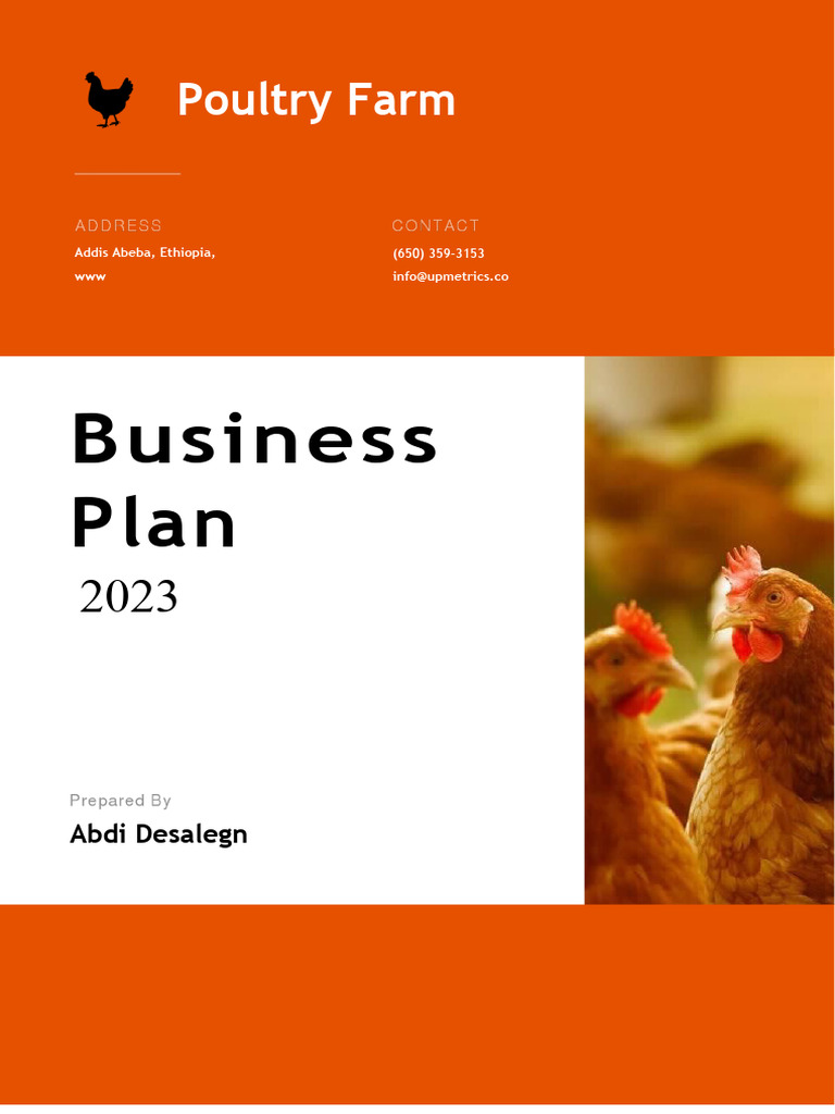Poultry Farming Business Plan First Draft | PDF