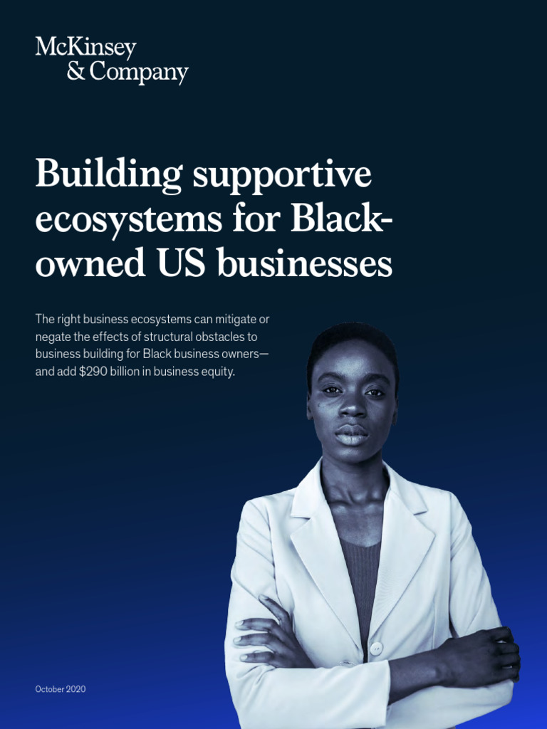 McKINSEY Report On Black Owned Businesses | PDF | Entrepreneurship ...