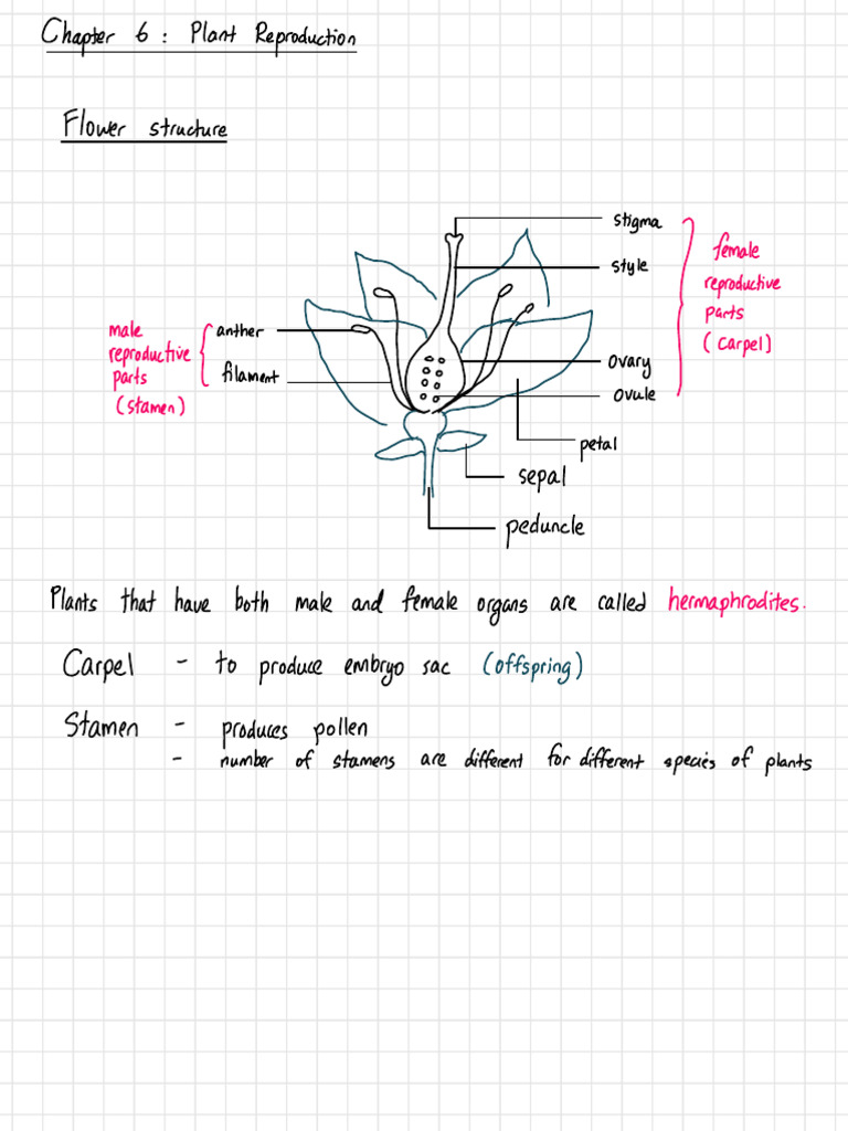 Biology F5 Chapter 6 KSSM Notes | PDF | Seed | Fertilisation