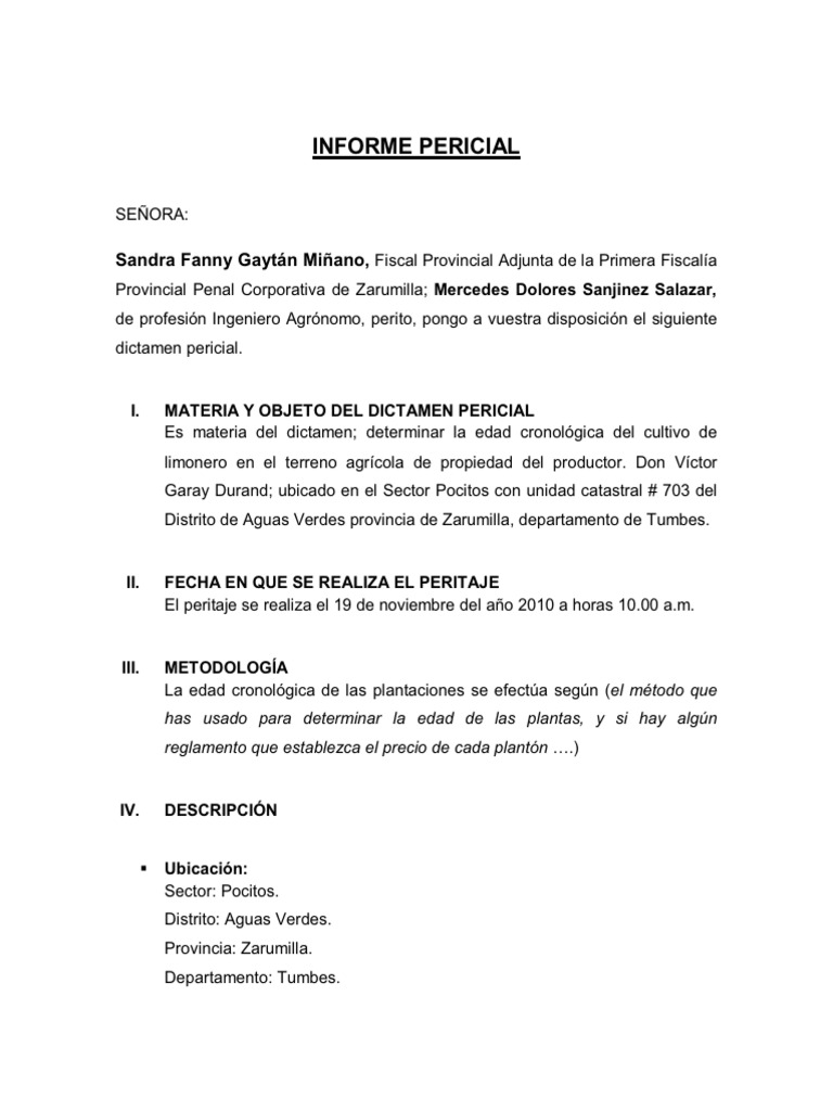 Informe Pericial | PDF