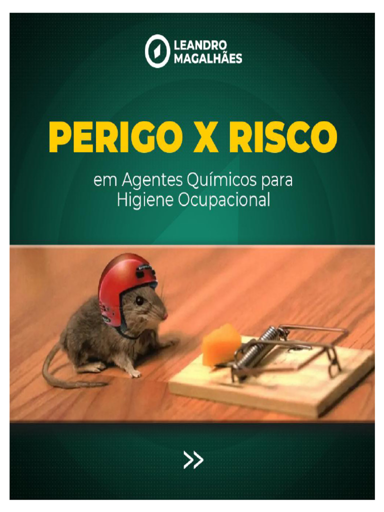 Perigo X Risco | PDF