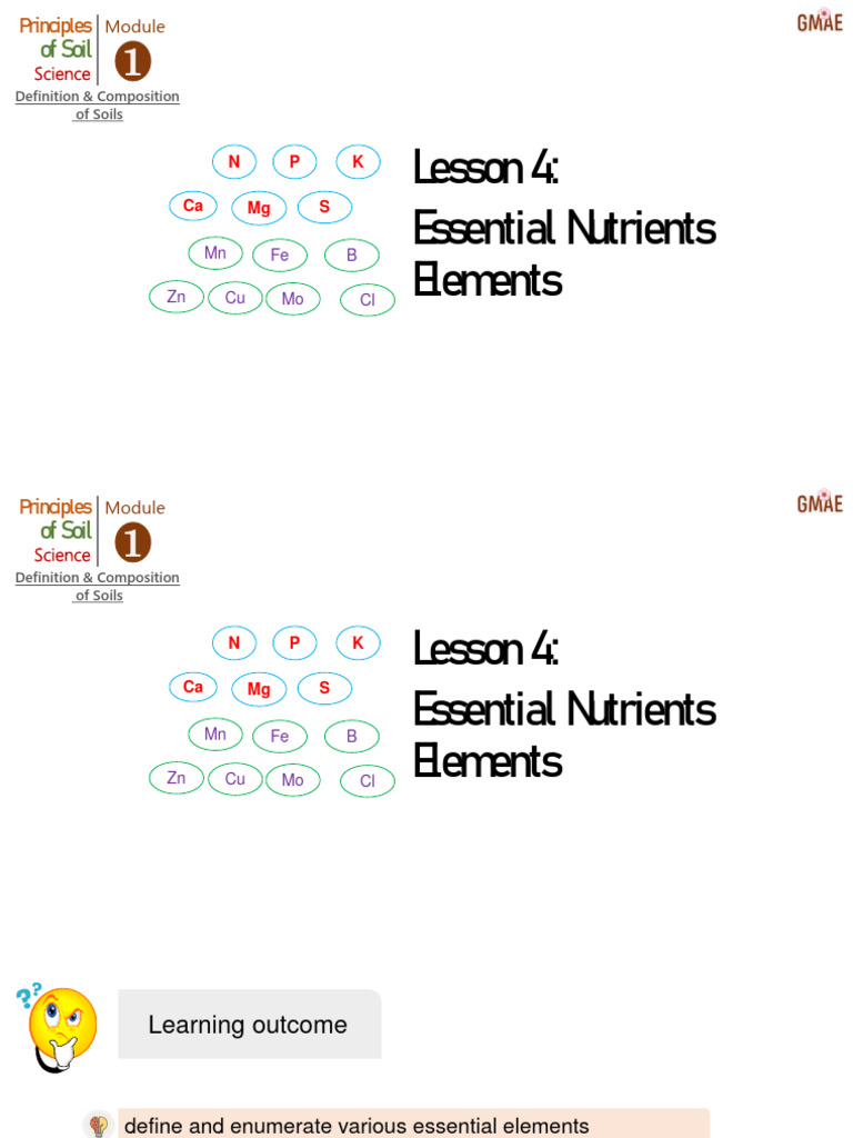 Module 1 Lesson 4 Essential Elements | PDF Module 1 Lesson 4 Essential Elements | PDF