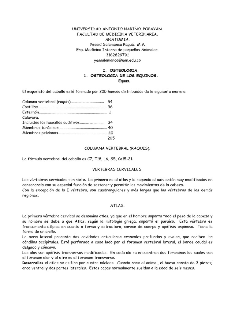 Anatomia 1 Guia Osteologia Pdf Vértebra Pelvis