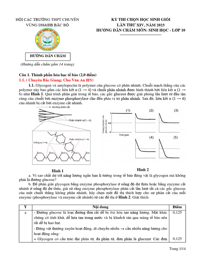 00 SINH HỌC 10 DHBB TN 2023 HDC Điều chỉnh | PDF