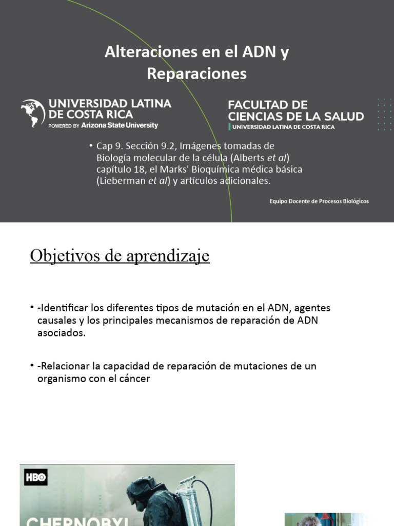 Alteraciones y Reparación Del ADN | PDF | Reparación de adn | Adn